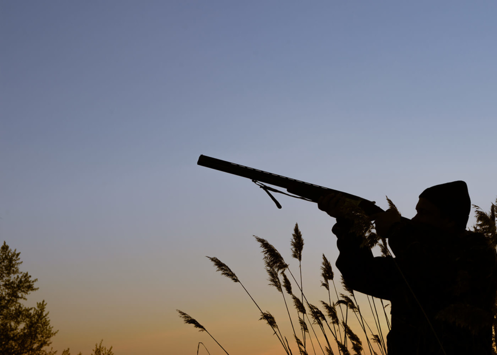 Advanced Gunsmith Program | Advanced Gun Repair | Gunsmithing